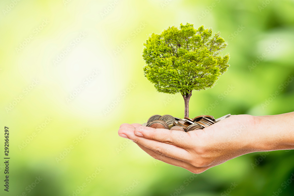 Man hand holding coins and tree look like as planting on greenery ...