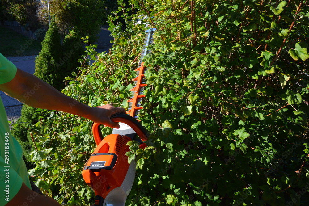 Akku-Heckenschere bei der Arbeit an einer Hecke im Hausgarten Stock ...