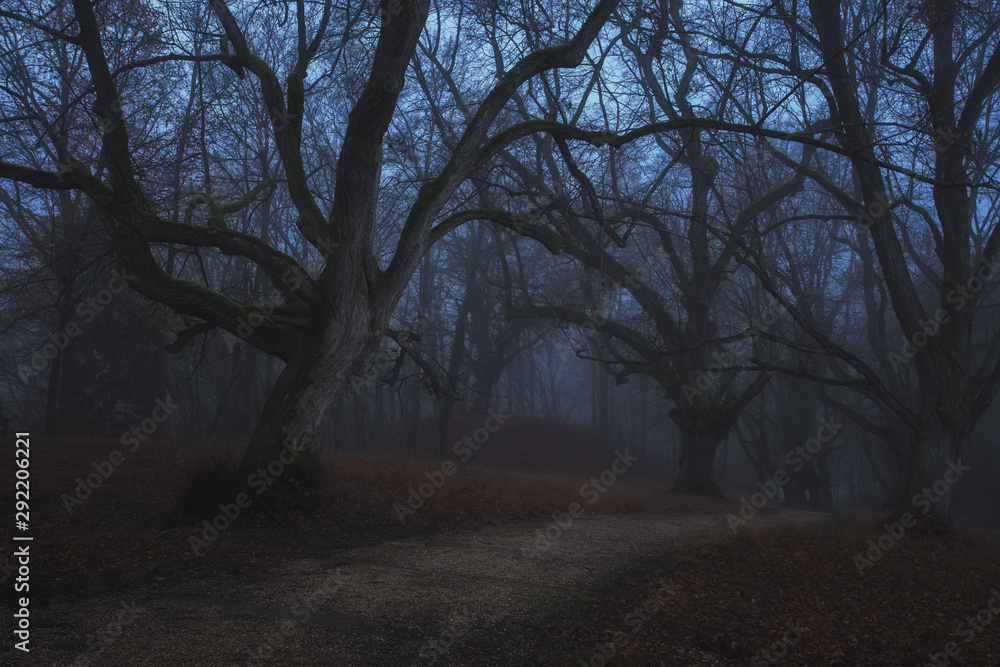 Creepy Trees At Night