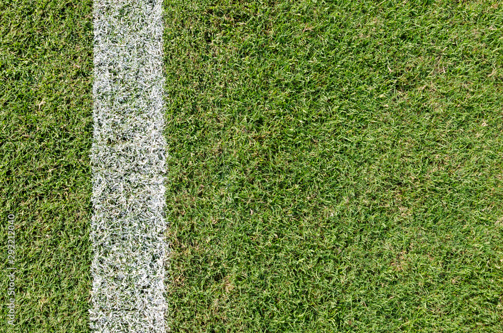 The white Line marking on the artificial green grass soccer field ...