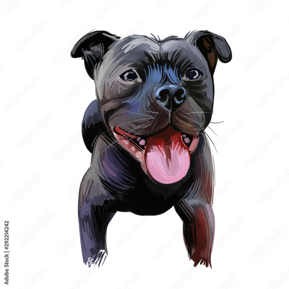 Staffordshire Bull Terrier Staffie, breed of short-haired, small to ...