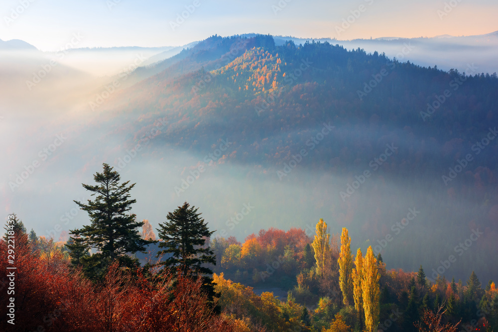 misty sunrise in mountains. wonderful autumn weather. beautiful nature ...