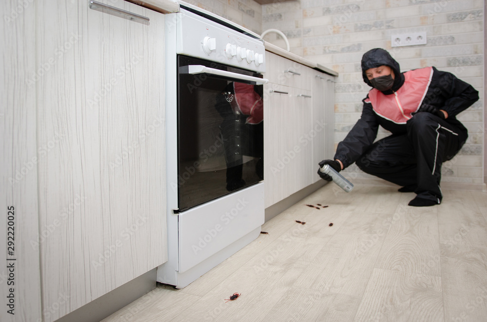 Fotka „Professional contractor doing pest control indoors. a ...