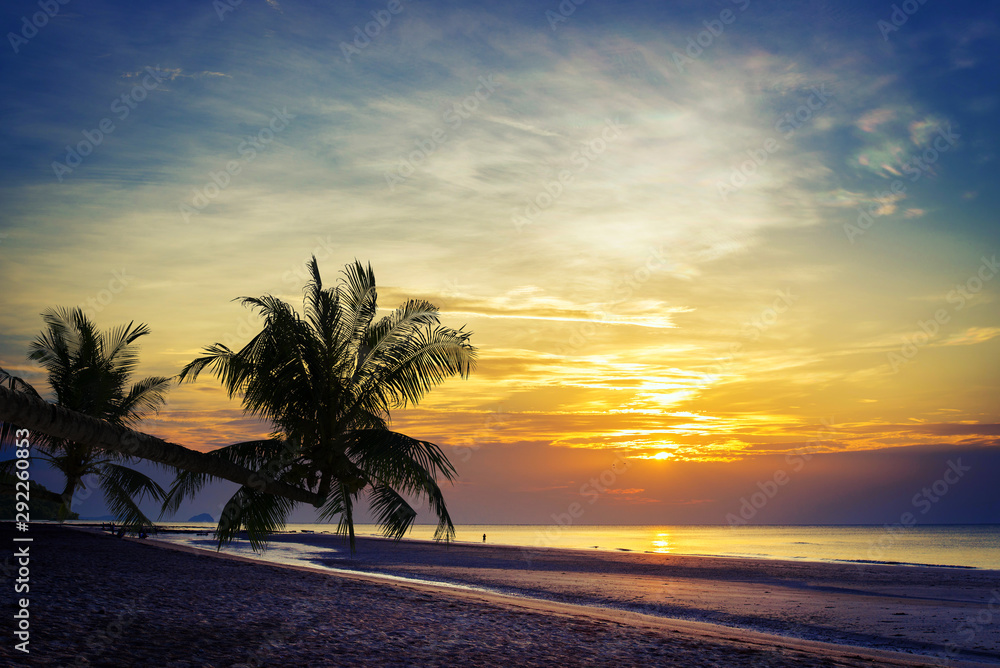 Ocean With Palm Trees Sunset