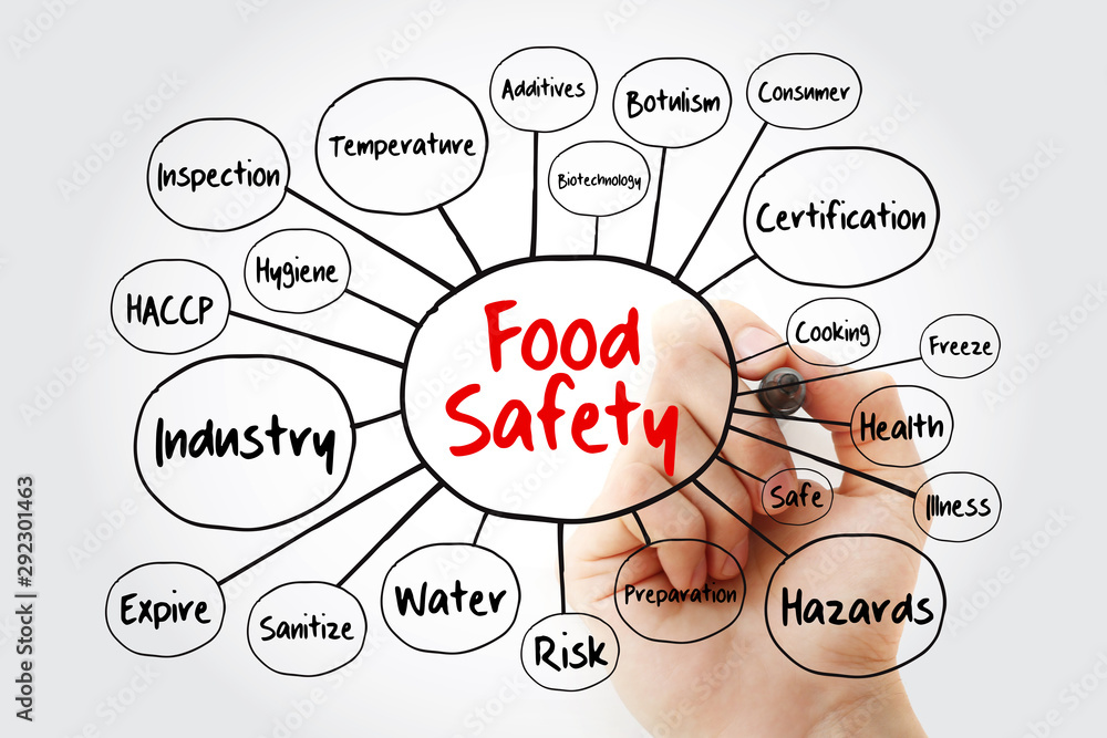 Food safety mind map flowchart with marker, concept for presentations ...