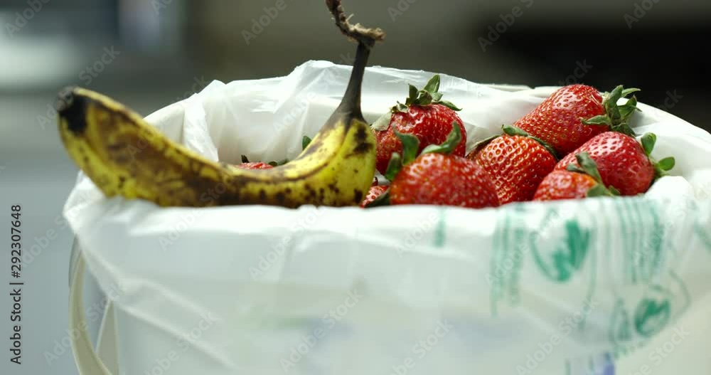 Banana and strawberries sitting in compost container because visual ...