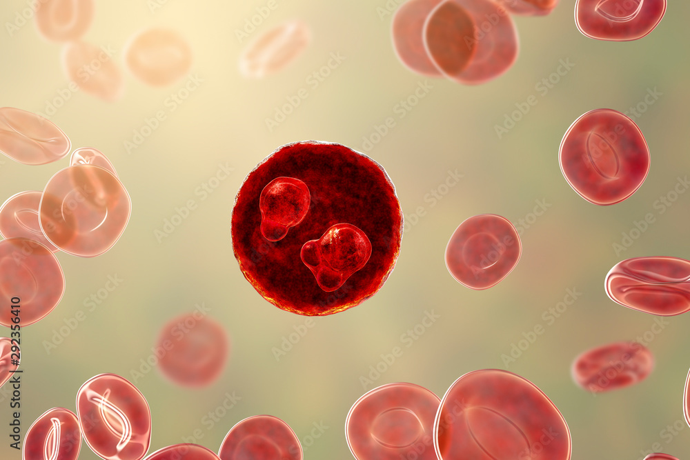 The malaria-infected red blood cells. 3D illustration showing ring-form ...