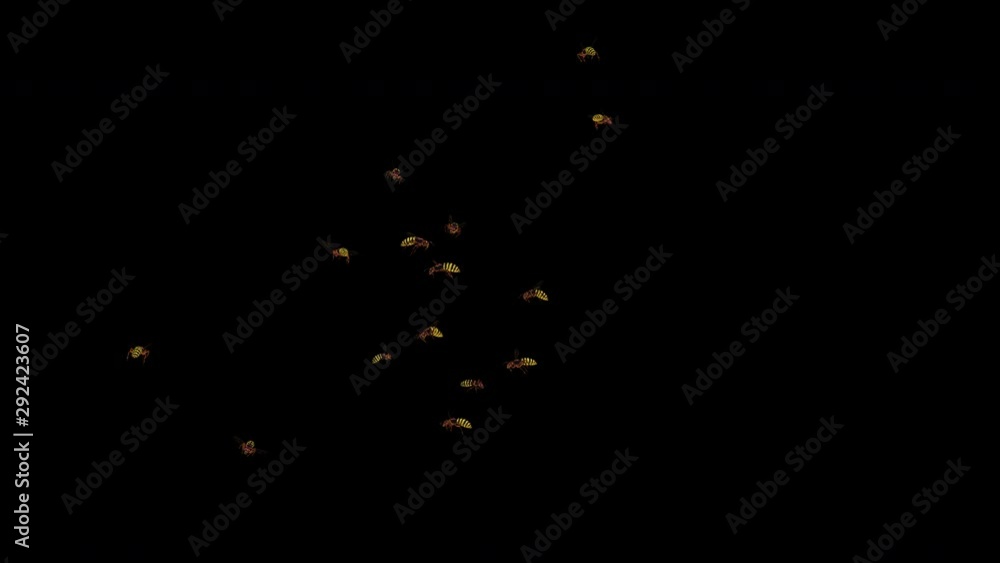 Swarm of Hornet Wasps flying around screen. Realistic 4K UHD 3D ...