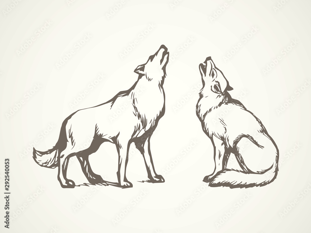 Wolf. Vector drawing Stock Vector | Adobe Stock