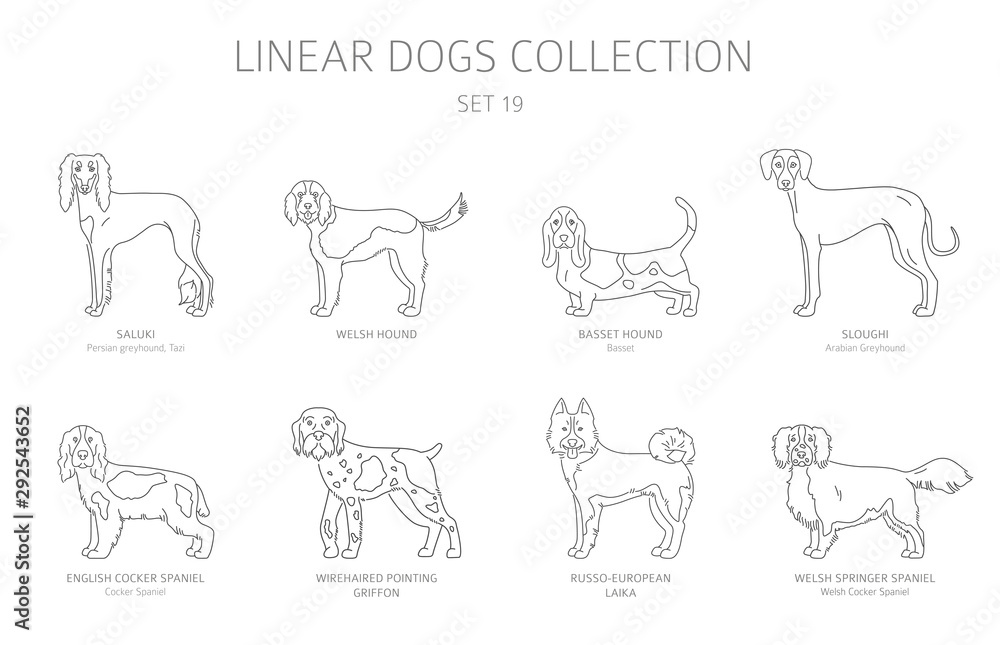 Simple line dogs collection isolated on white. Dog breeds. Flat style ...