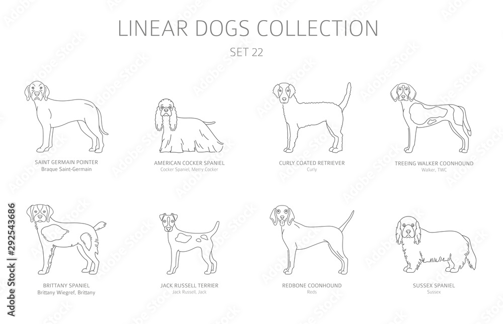 Simple line dogs collection isolated on white. Dog breeds. Flat style ...
