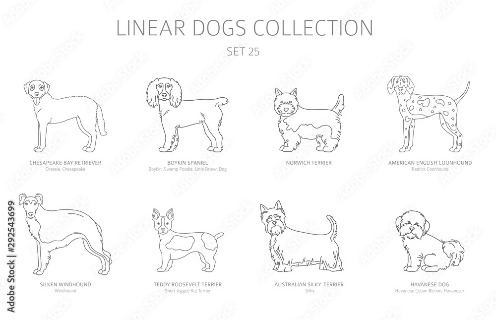 Simple line dogs collection isolated on white. Dog breeds. Flat style ...