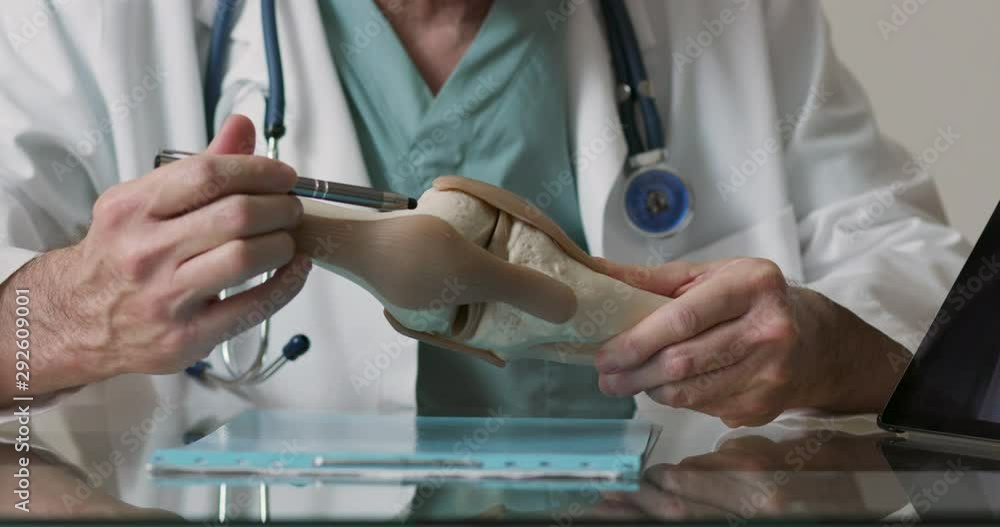 A orthopedic doctor or surgeon using a skeletal model of a human knee ...