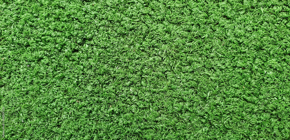Cricket Pitch Texture Close up. Green Grass. Indoor Cricket Turf grass ...