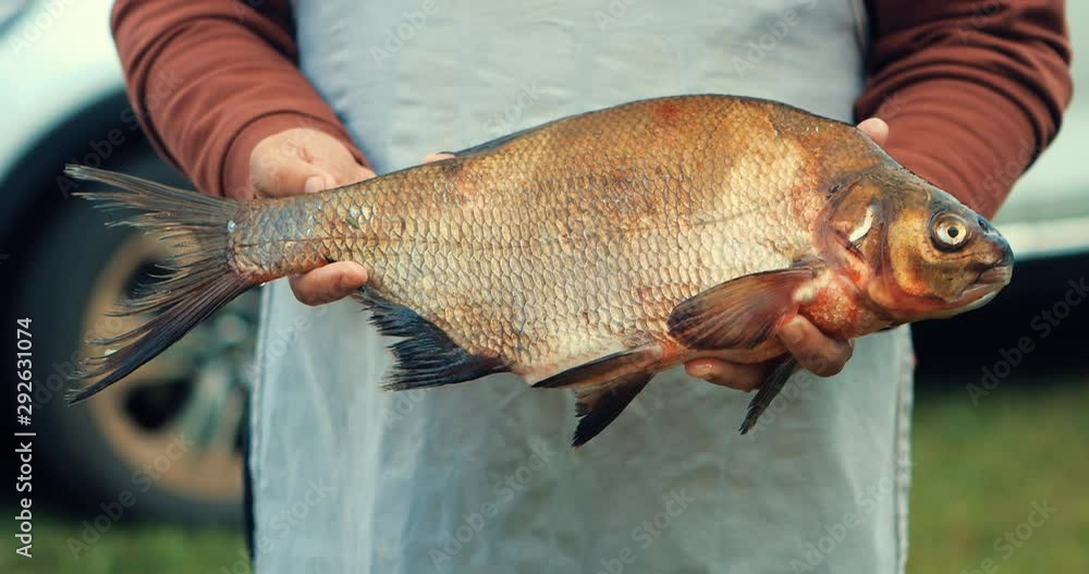 Young man cleans fish for cooking food. Remove the scales from fresh ...