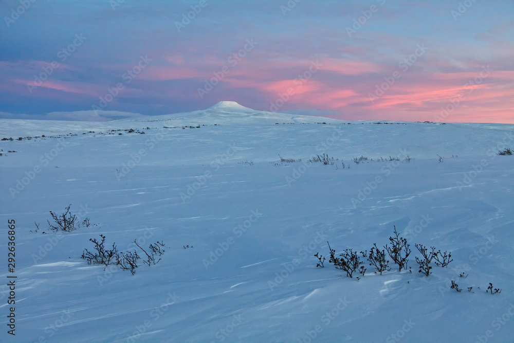 Arctic Tundra Landscape