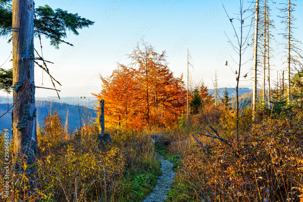 The High Tatras Mountains (Vysoké Tatry, Tatry Wysokie, Magas-Tátra ...