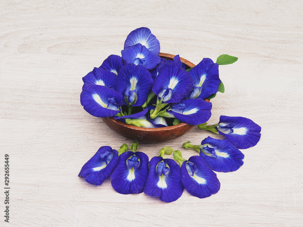 Blue color of anthocyanin butterfly pea natural acid and base indicator ...