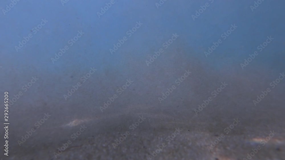 Slow motion underwater sea particles fine sand floating in ocean water ...