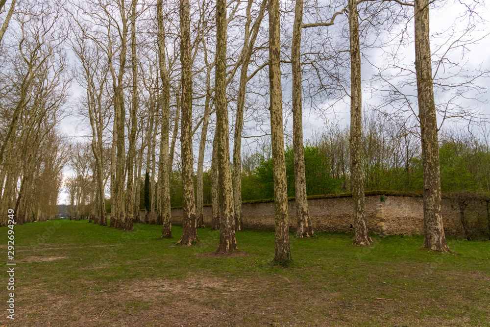 Park Gardens. Dating back from Louis XIII, this garden was projected ...