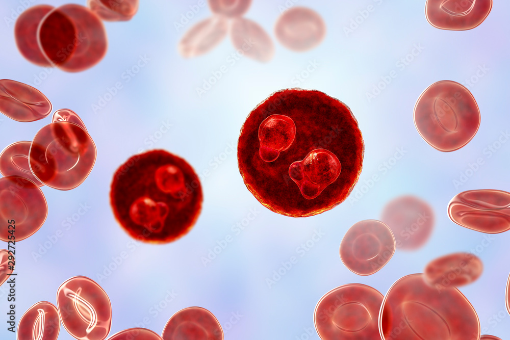 The malaria-infected red blood cells. 3D illustration showing ring-form ...