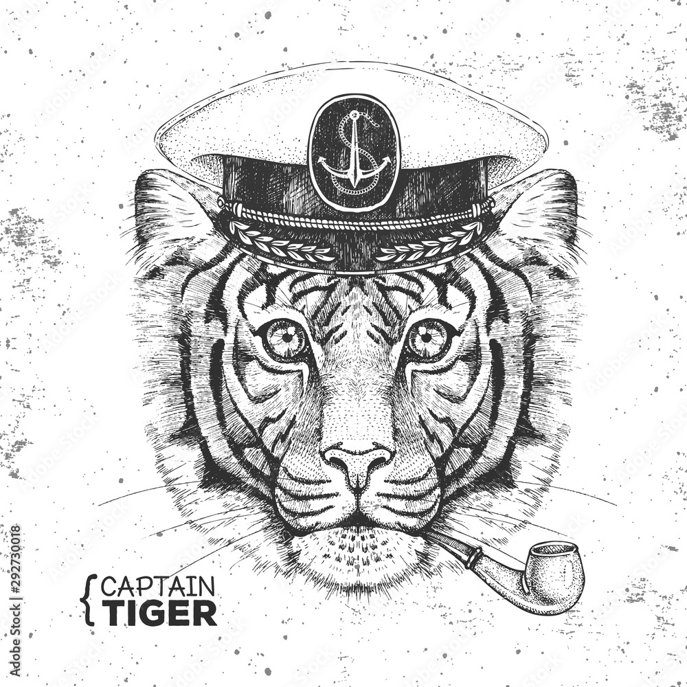 Hipster animal tiger captain's cap and smoking pipe. Hand drawing ...