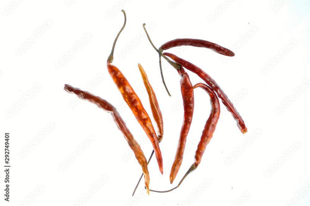 Bird's beak chiles and rat's tail chiles, chile de árbol, isolated on a ...
