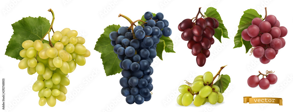 Wine grapes, table grapes. Fresh fruit, 3d realistic vector set Stock ...