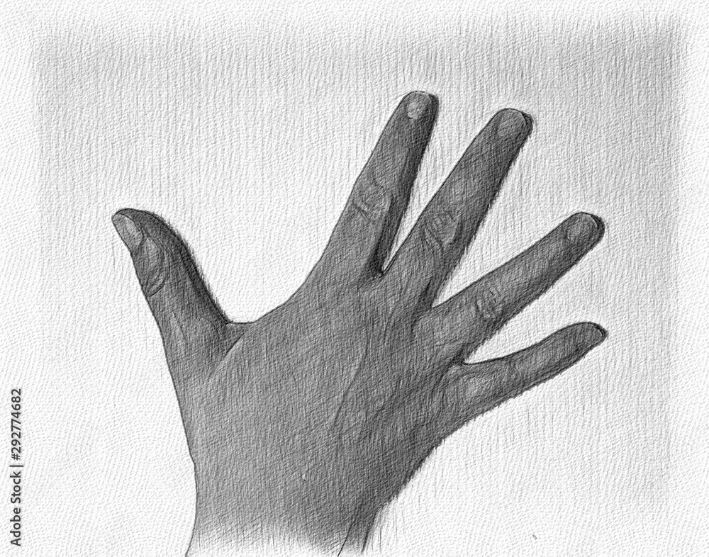 Pencil painted sketch drawing of a human femaile hand showing different ...