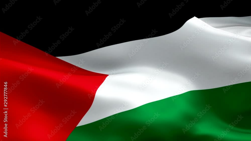 Palestine flag Motion Loop video waving in wind. Realistic Palestinian ...