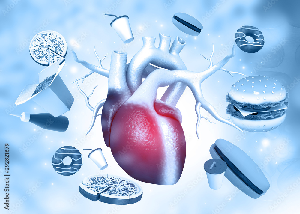 Human heart anatomy with fast foods. Unhealthy diet concept. 3d ...
