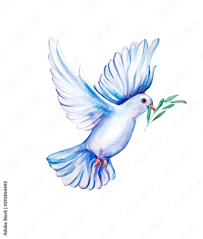Peace bird, dove, art, water color drawing Stock Illustration | Adobe Stock