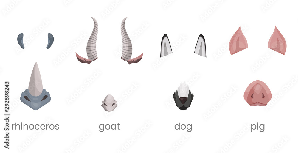 Different Types Of Ears Animals