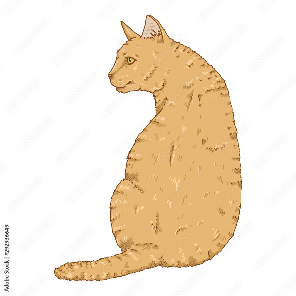 Sitting Cat. Vector Cartoon Feline Illustration Stock Vector | Adobe Stock