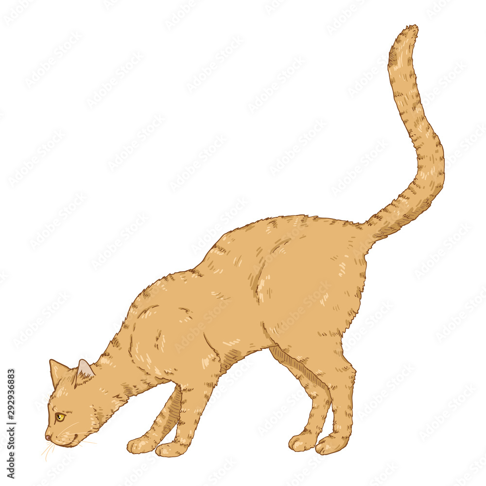 Sniffing Cat. Vector Cartoon Feline Illustration Stock Vector | Adobe Stock