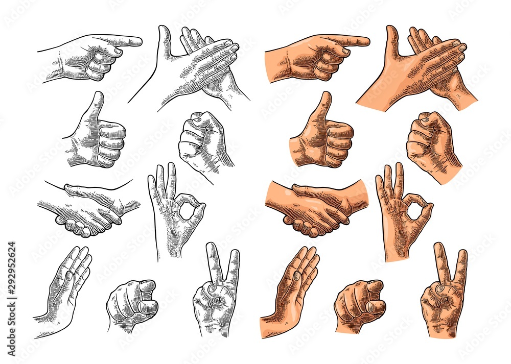 Male Hand sign. Like, Handshake, Ok, Stop, Middle finger, Victory Stock ...