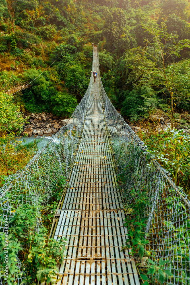 Donkeys crossing metal suspension bridge in Nepal, Himalayas, Manaslu ...