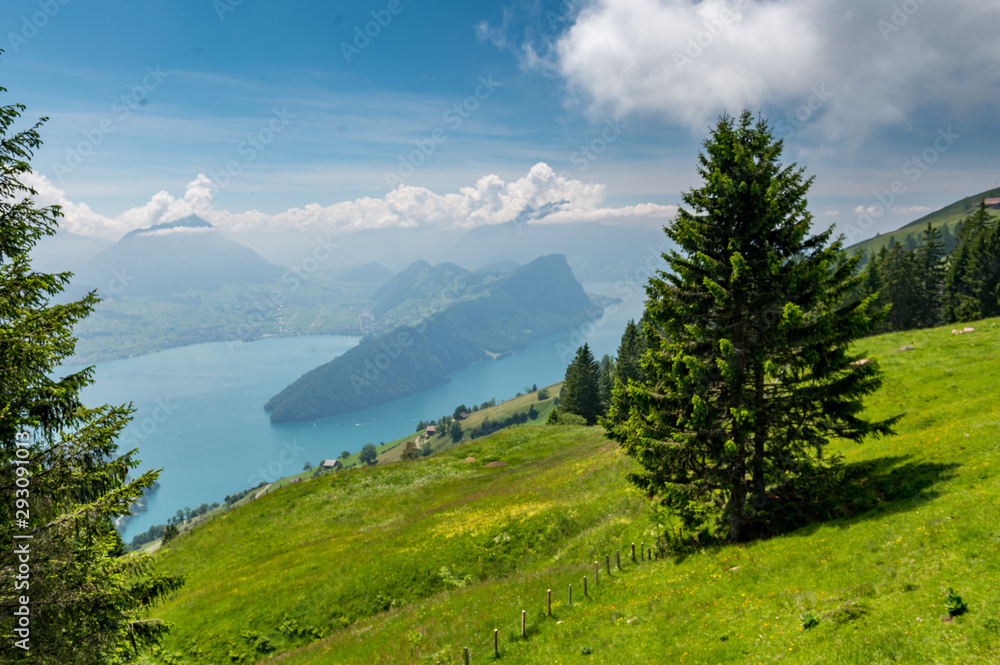 Aussicht vom Vitznau Hinterbergen auf den Vierwaldstättersee Stock Photo | Adobe Stock