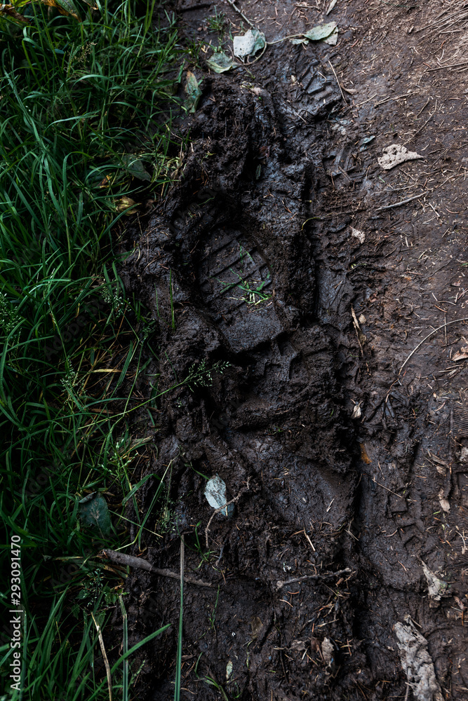 footprints on dirty ground with mud near green grass Stock Photo ...