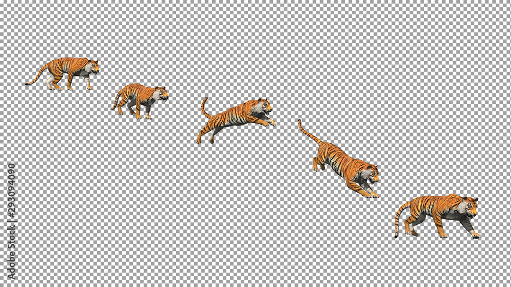 Bengal tiger pose jump animation with pose to pose by 3d rendering ...