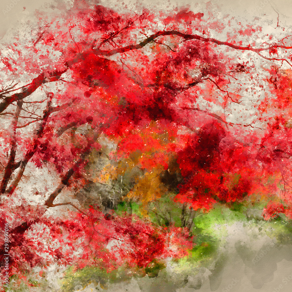 Japanese Maple Tree Painting