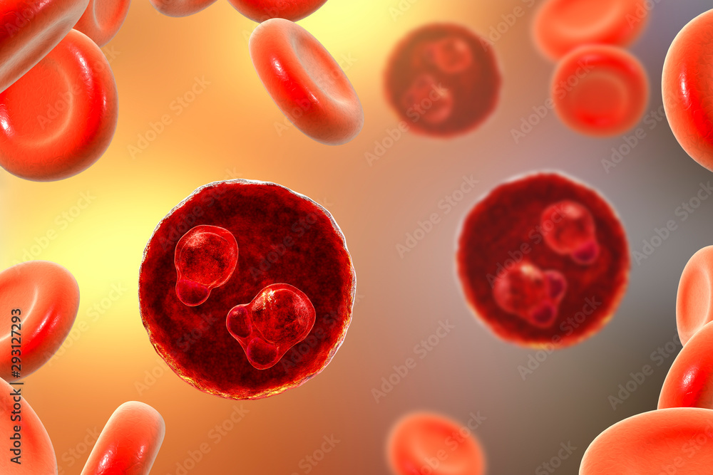 The malaria-infected red blood cells. 3D illustration showing ring-form ...