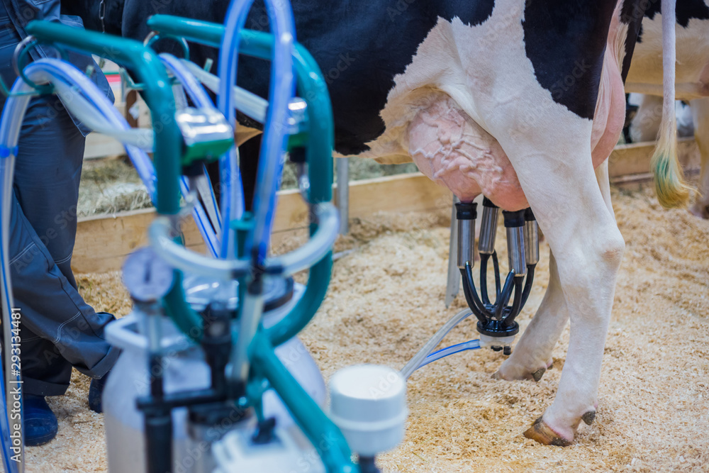 Dairy Farming Equipment