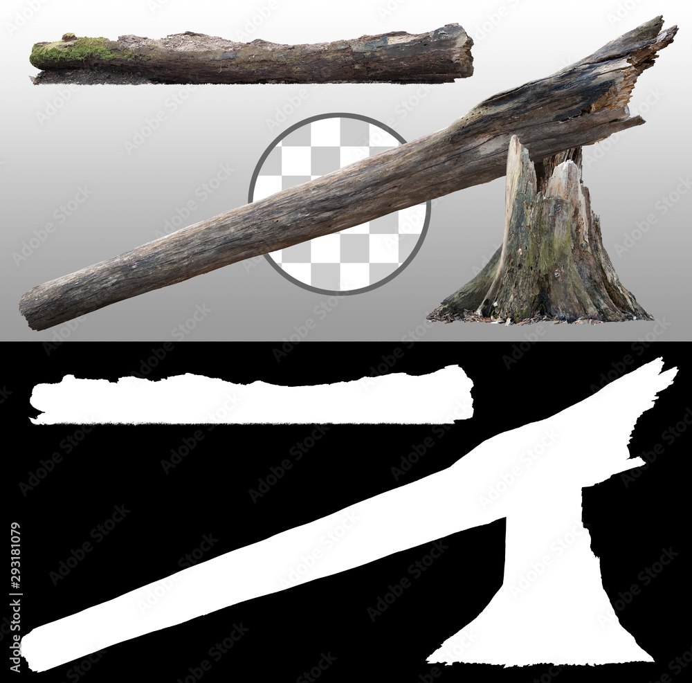 Cut out tree stump. Old tree stub isolated on transparent background. Dead tree. High quality ...