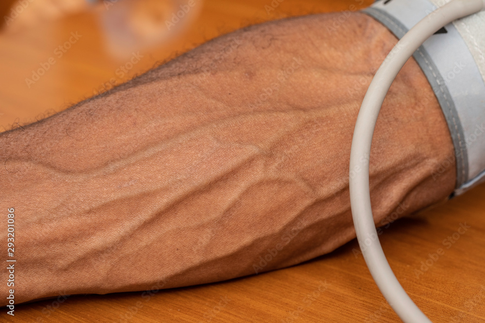 A closeup view on the muscular forearm of a man, the veins bulge during ...