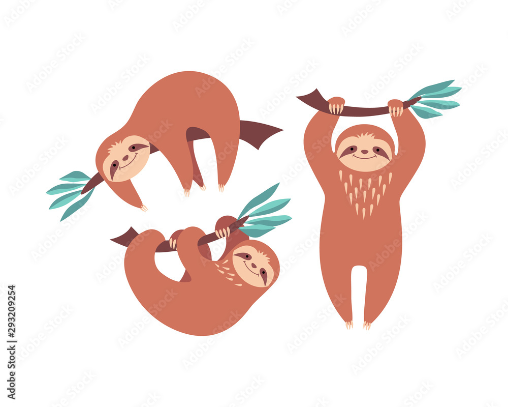 Set of cute cartoon sloths isolated on white background. Flat vector ...