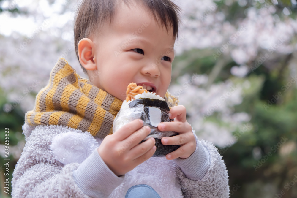 Cute little Asian toddler boy biting & eating Onigiri, Japanese food ...