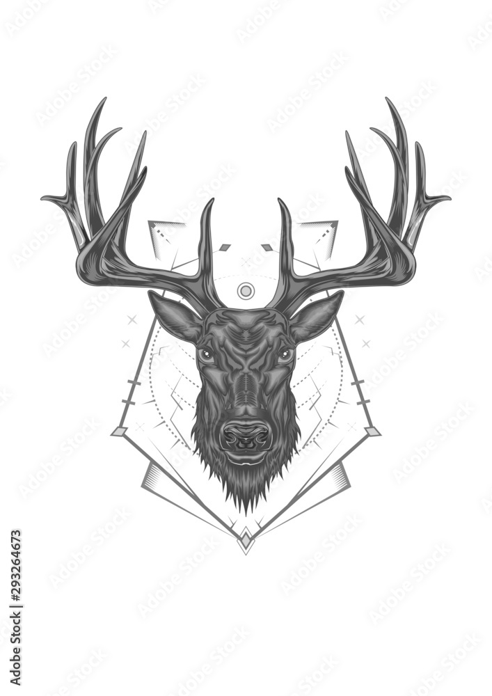buck head line art. bull elk style drawing. deer head illustration with ...