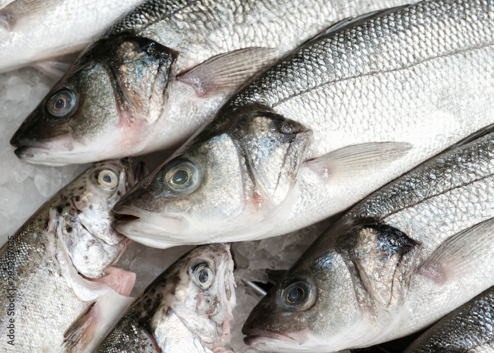 Beautifully laid out sea bass fish and sea bass on the counter of the ...