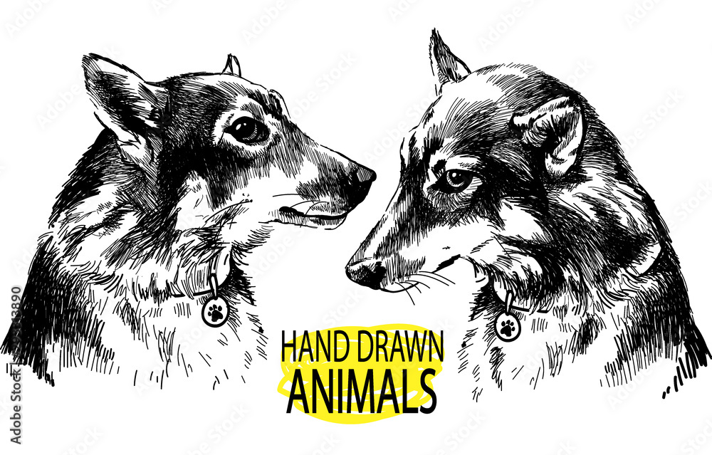 Two dogs with collars . A set of images in vintage style . Drawing by ...